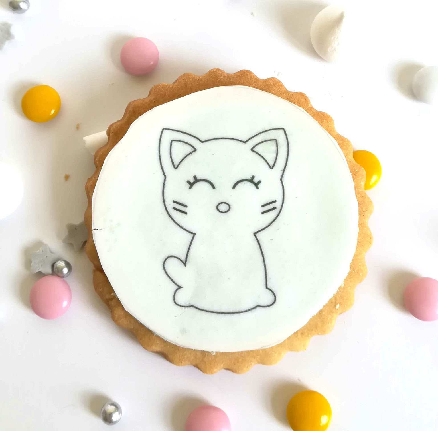 Biscuits à colorier pour animer un goûter d'anniversaire, de baptême...